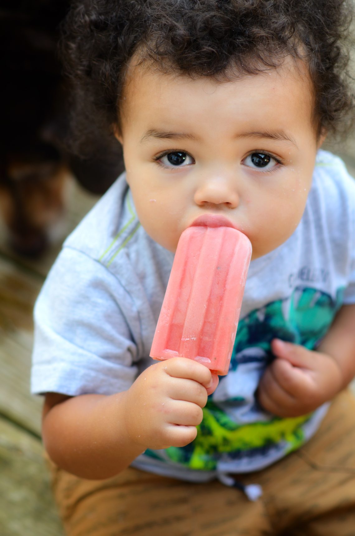Summer of Popsicles - Her Mise En Place Food Lessons